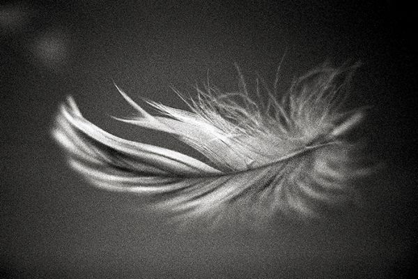 Les secrets de la photo argentique